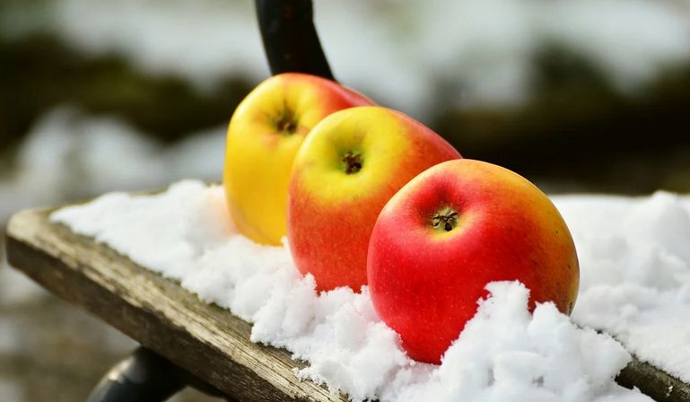 The Woodstock Snowball Stand - A Local Tradition